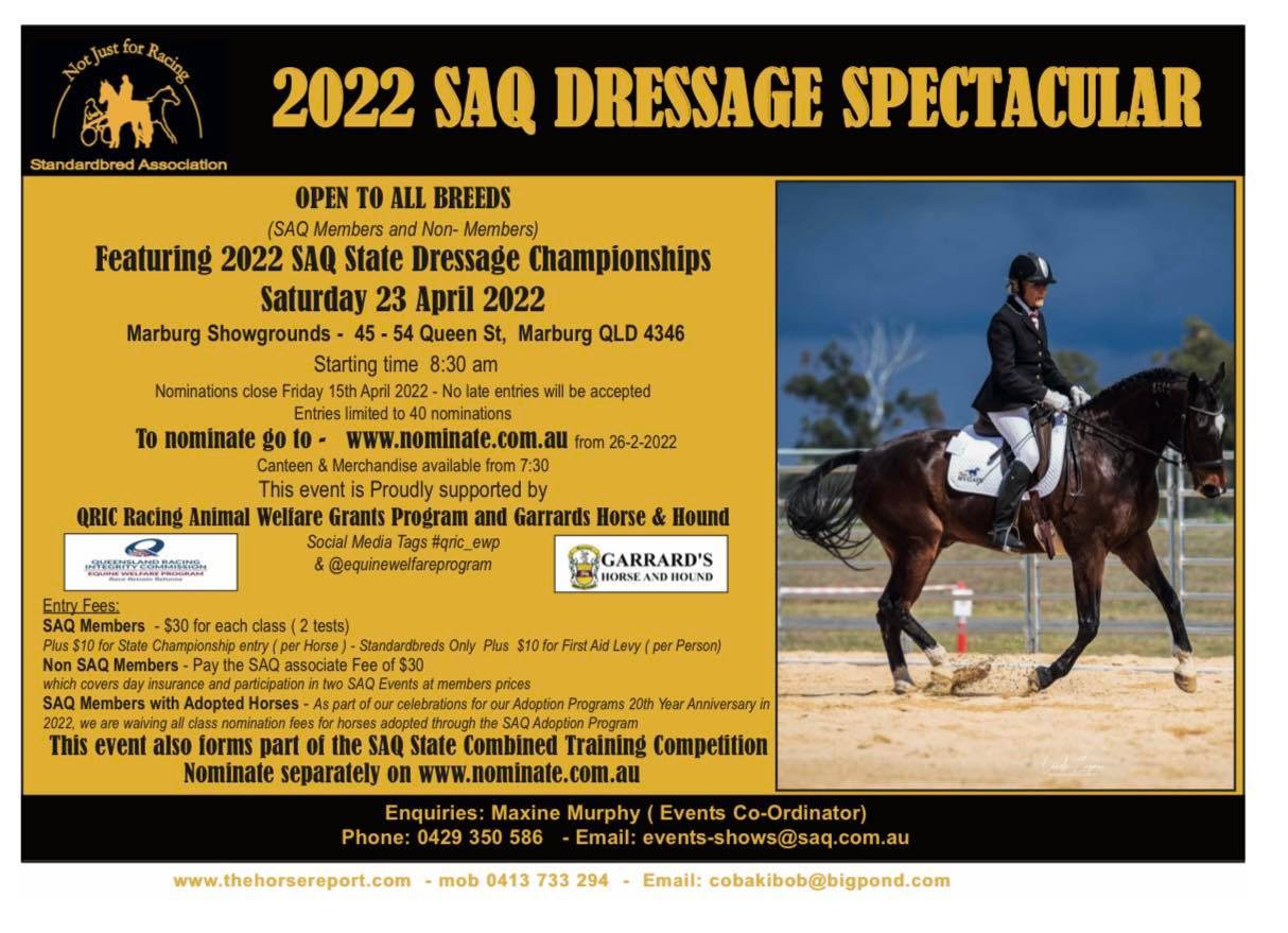 News Archives - Standardbred Association Queensland