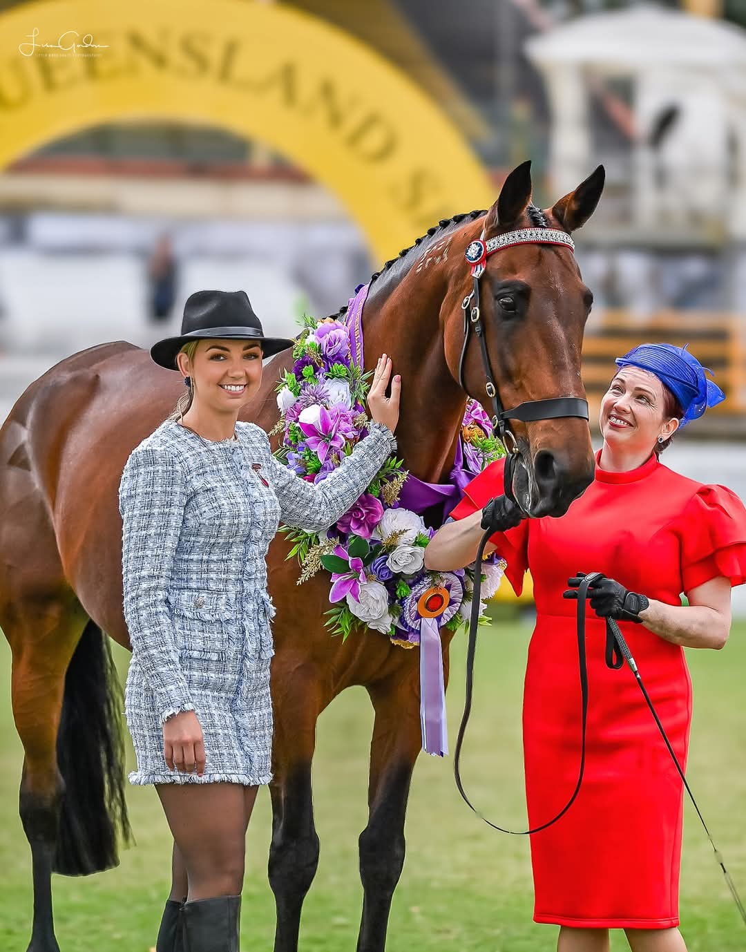 Super Falcon - Champion on and off the track - Standardbred Association ...